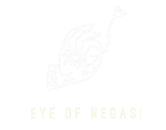 Eye of Negasi | Award-Winning Filmmaker & Photographer
